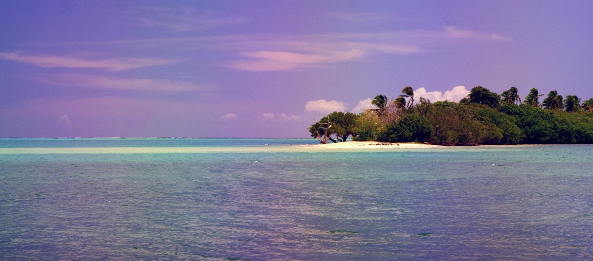 Die Karibik – Überleben im Paradies – Pressebereich